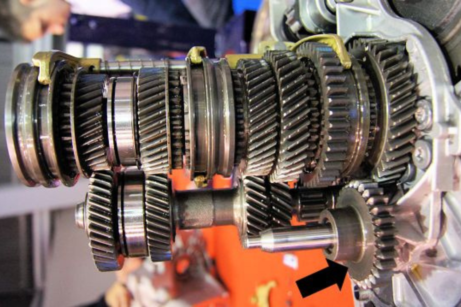 Gears 2 - Skanda